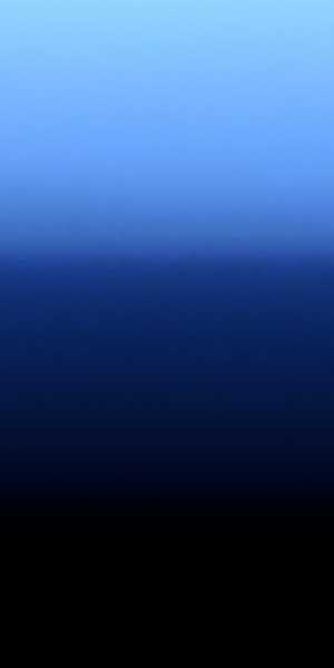 Berq - Offizieller Shop