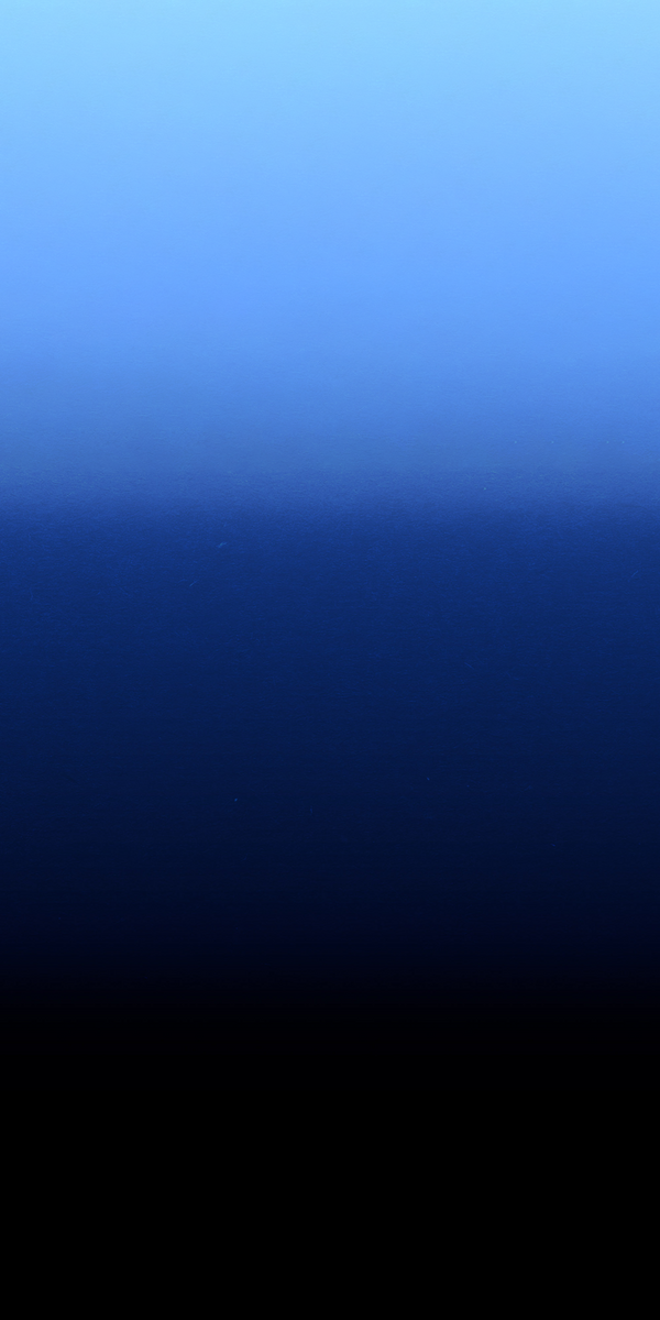 Berq - Offizieller Shop